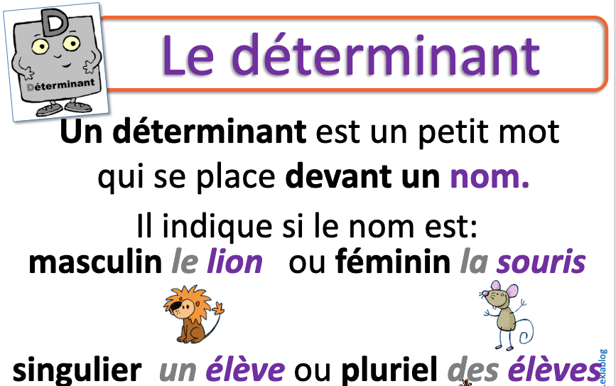 Les déterminants | Genially