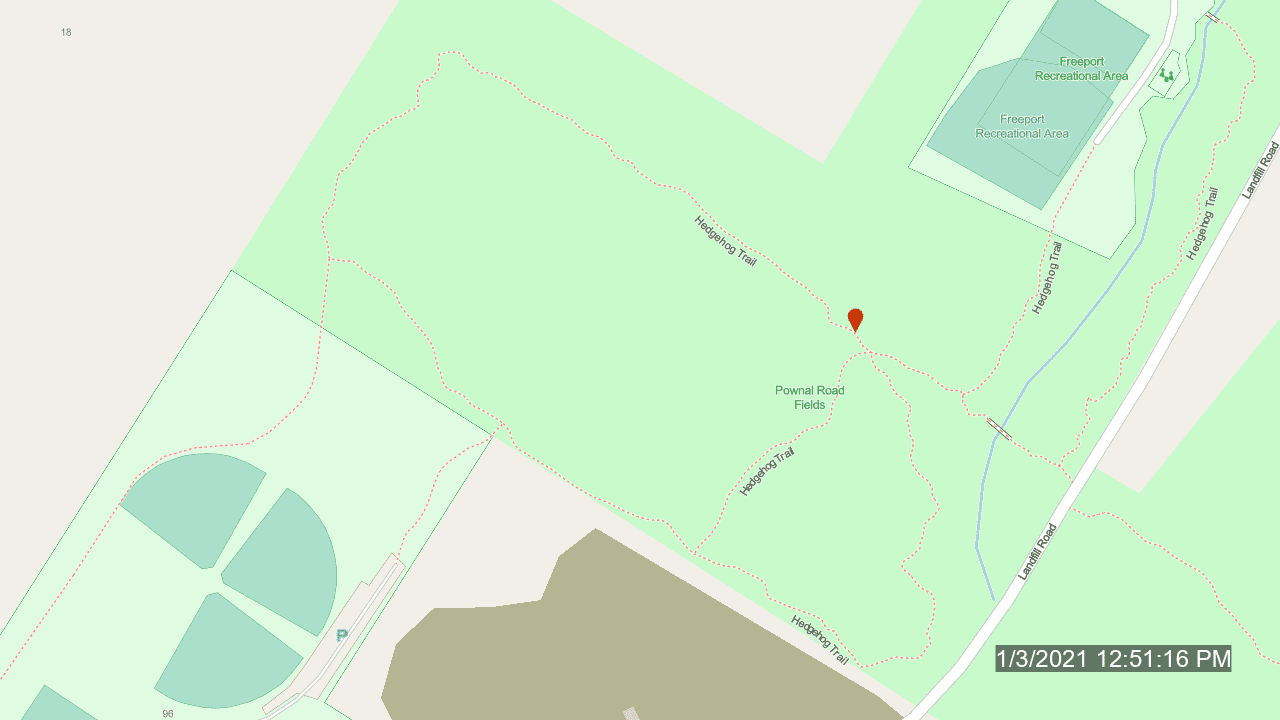 PATH GUIDE | Genially