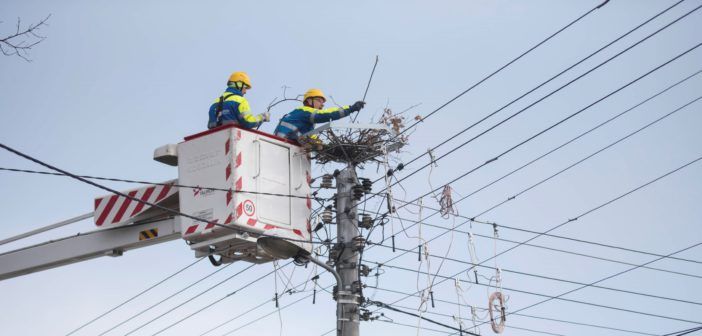 TECHNIKA KL. 6: Co się tutaj kryje? | Genially