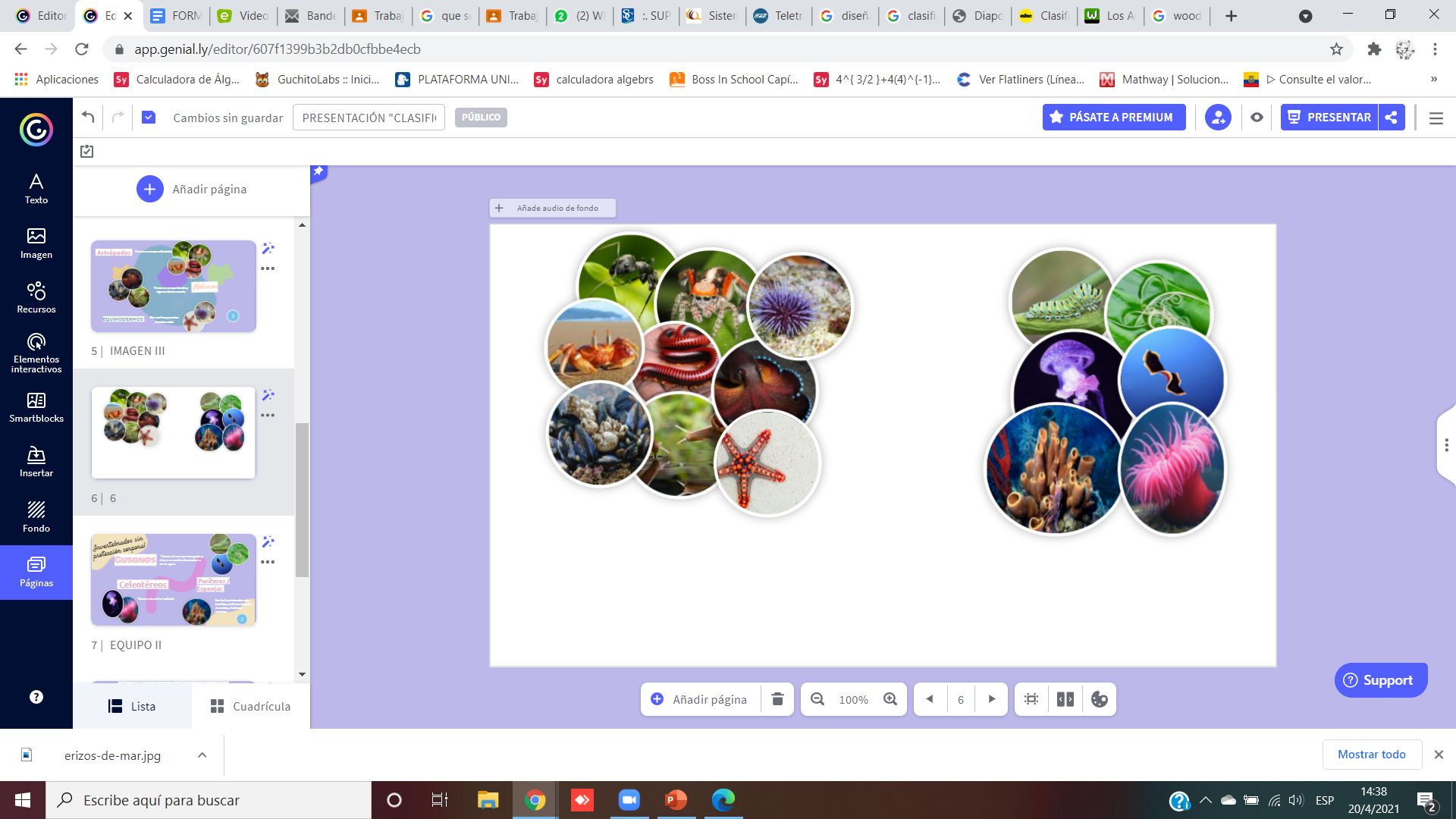 INFOGRAFIA "CLASIFICACIÓN DE LOS ANIMALES INVERTEBRADOS" | Genially