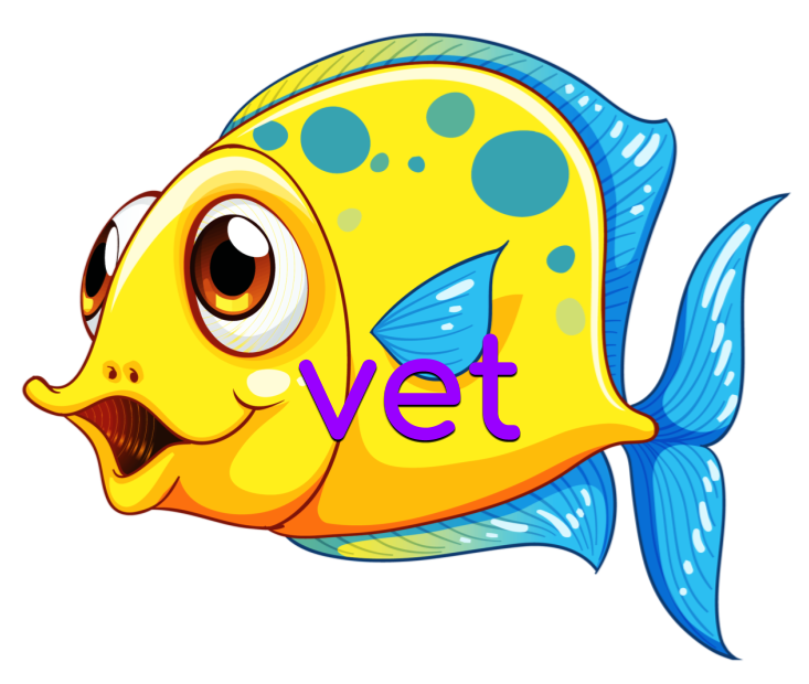 short vowels ocean | Genially