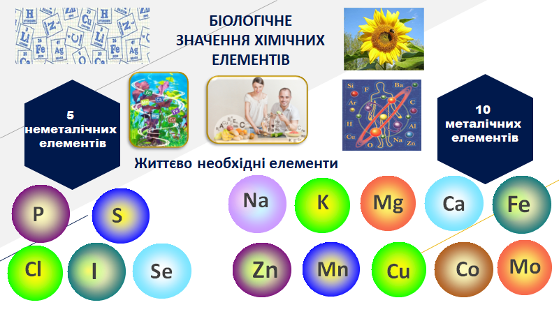 Interactive image | Genially