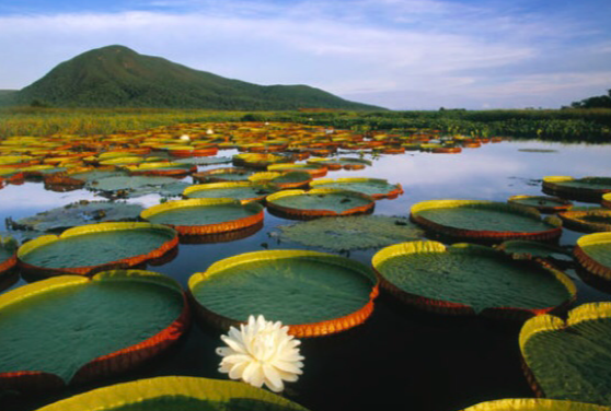 Copy - Interactive image