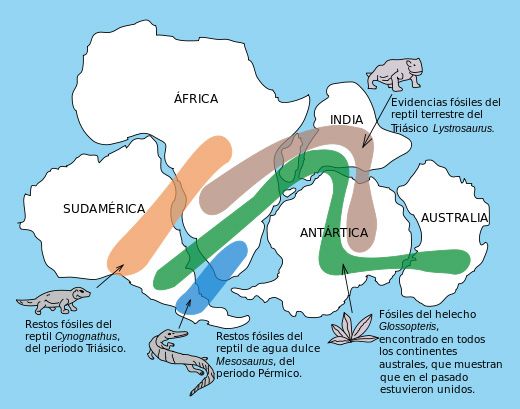 Infografía biogeografía | Genially