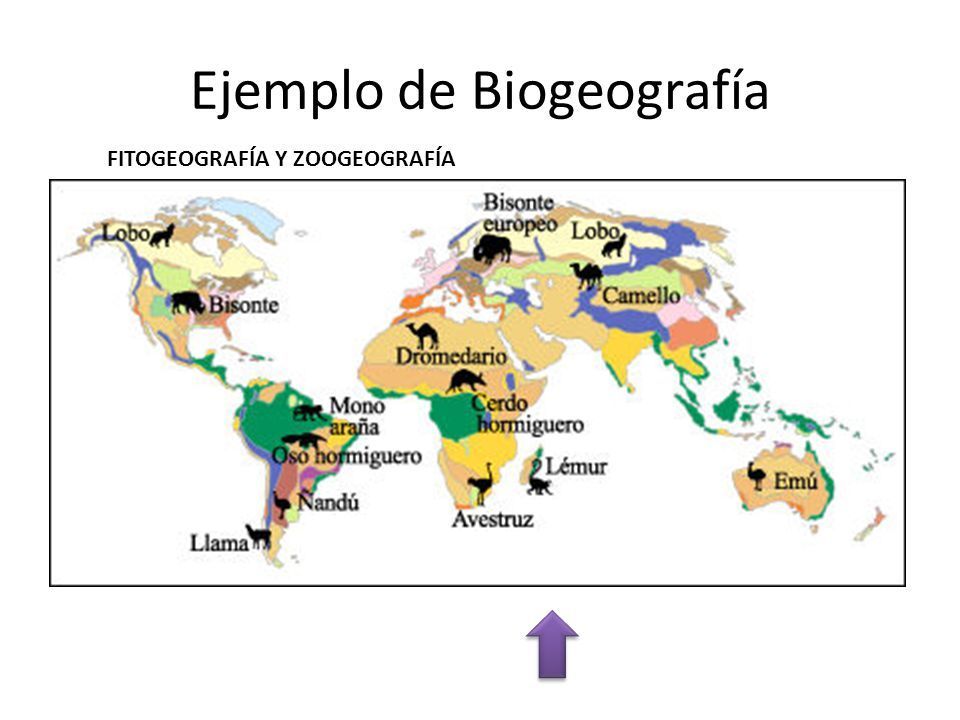 Infografía biogeografía | Genially
