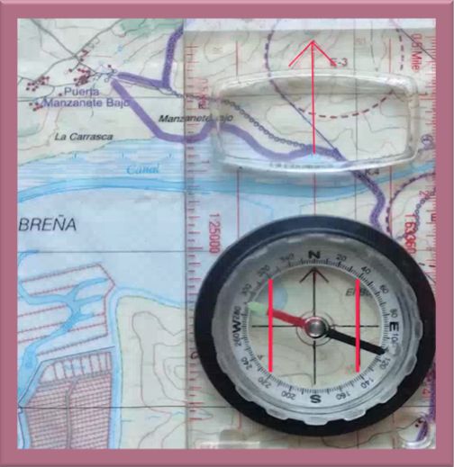 ORIENTA TU MAPA EN 4 PASOS | Genially