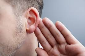 budowa ucha | Genially