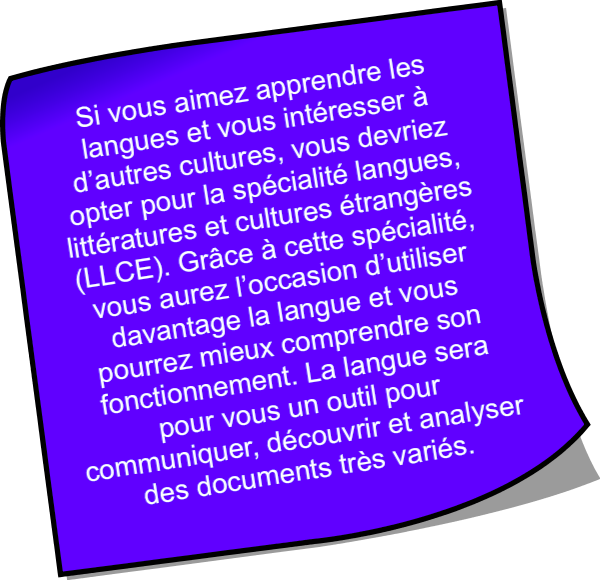 Pourquoi choisir La spécialité LLCE