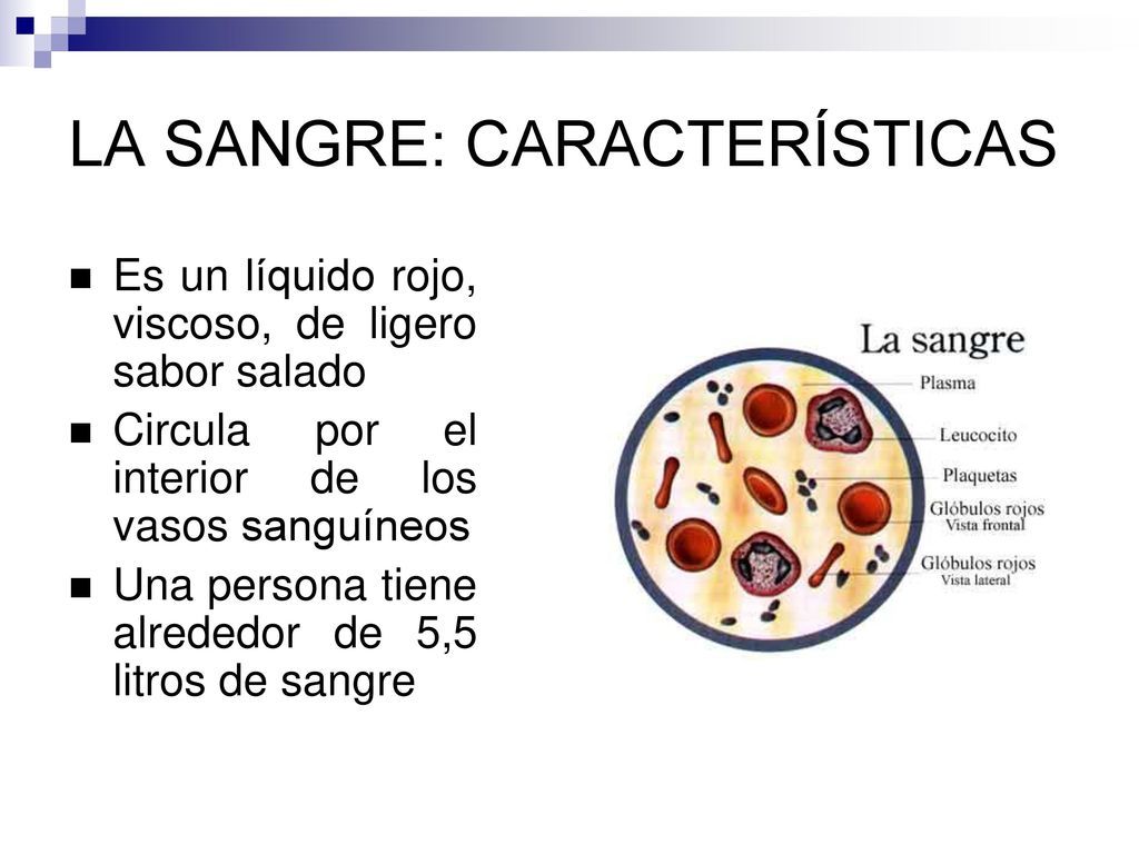 Sangre | Genially