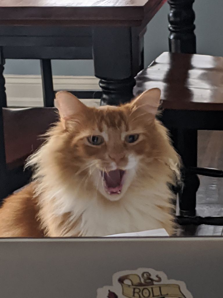 Troy Hein | Genially