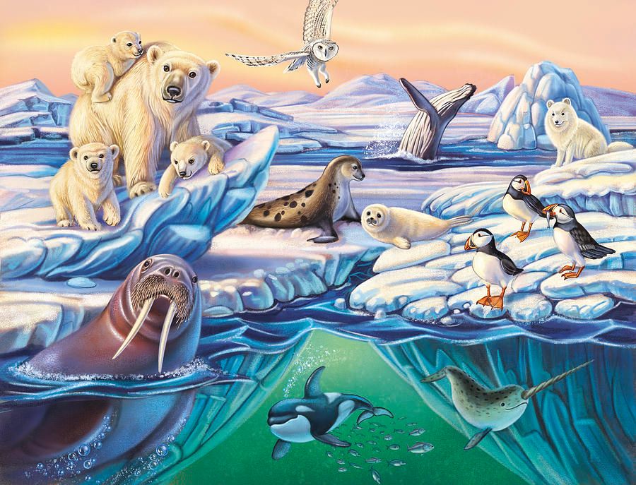 Arctic animals | Genially