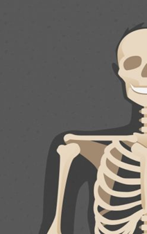 Cúbito-Anatomía | Genially