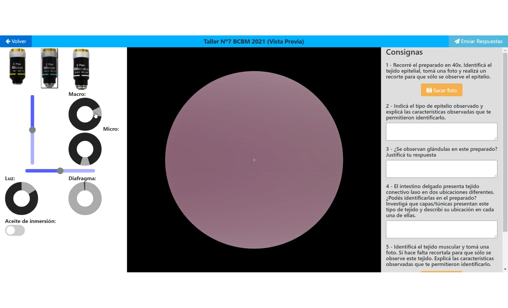MV-FFyB. Plataforma | Genially