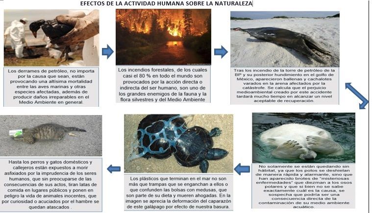 PROYECTO 6 | Genially