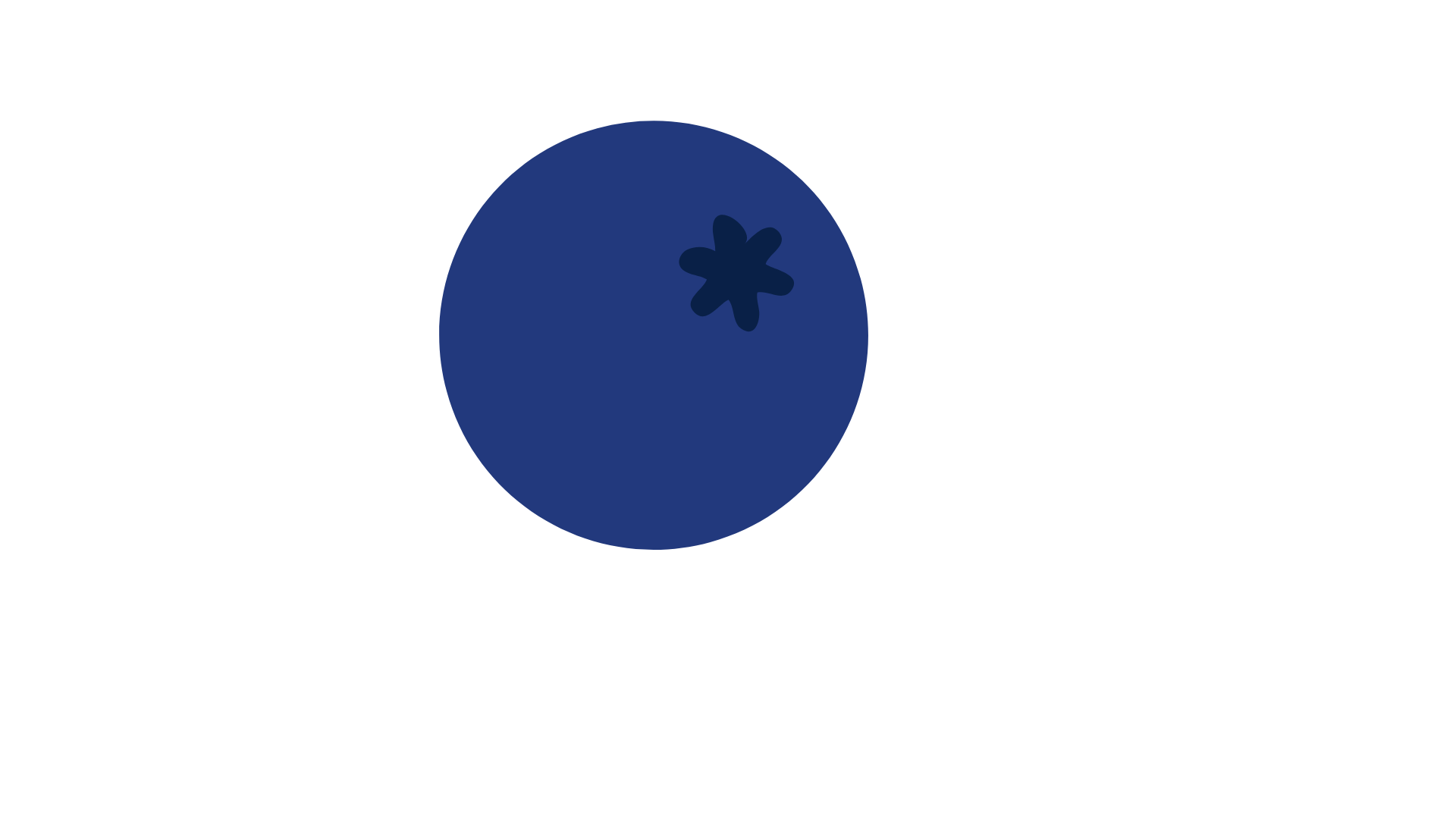 Present Simple (negative sentences) | Genially