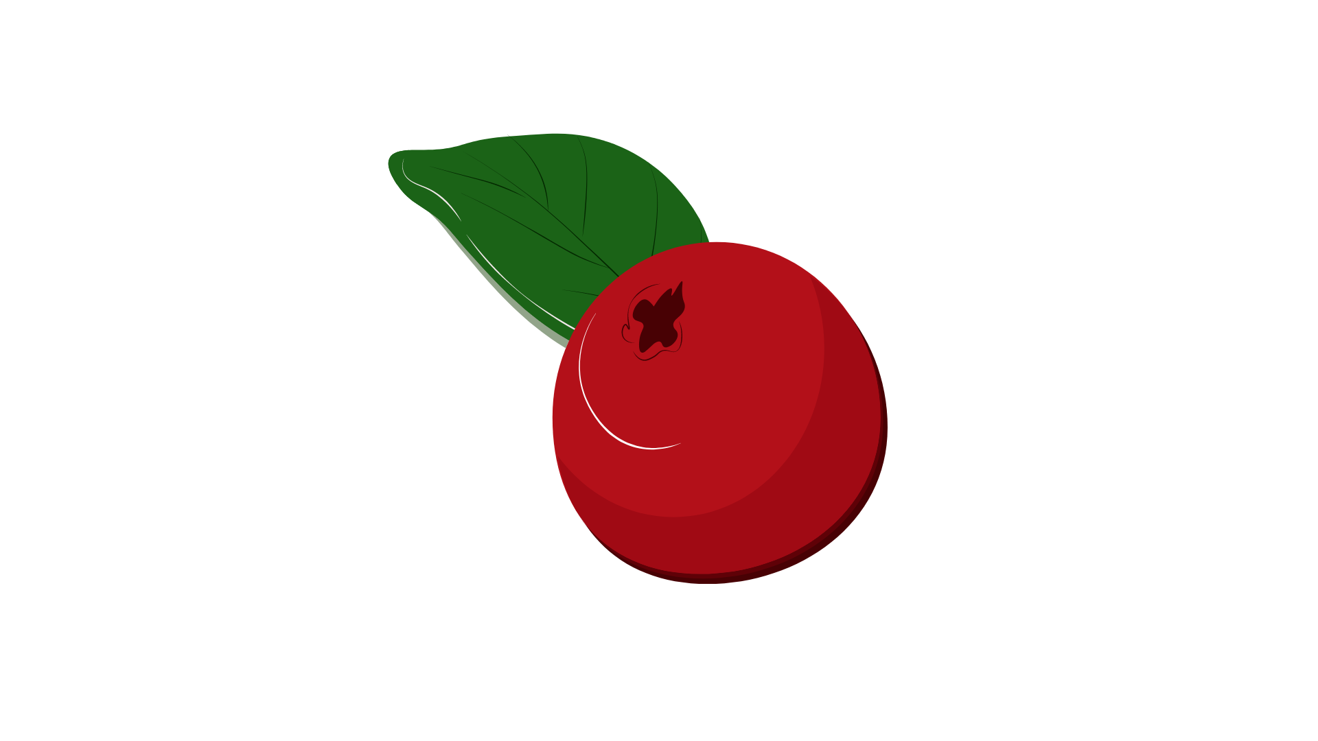 Present Simple (negative sentences) | Genially