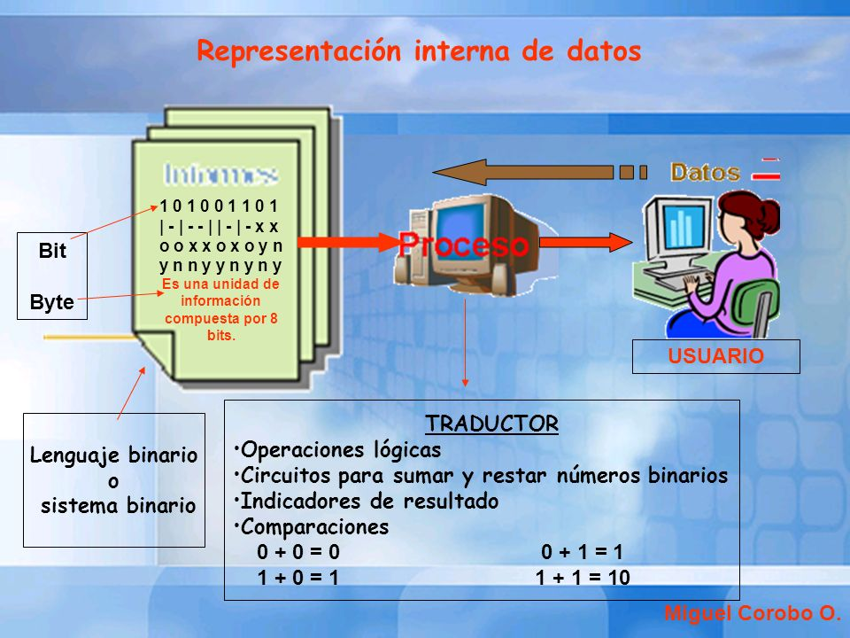 Representación Interna de los Datos de una Computadora | Genially