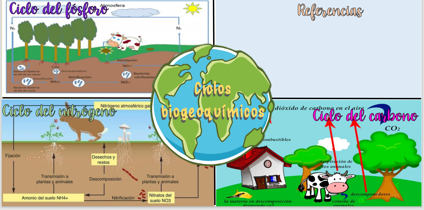 Infografía interactiva de los ciclos biogeoquímicos | Genially