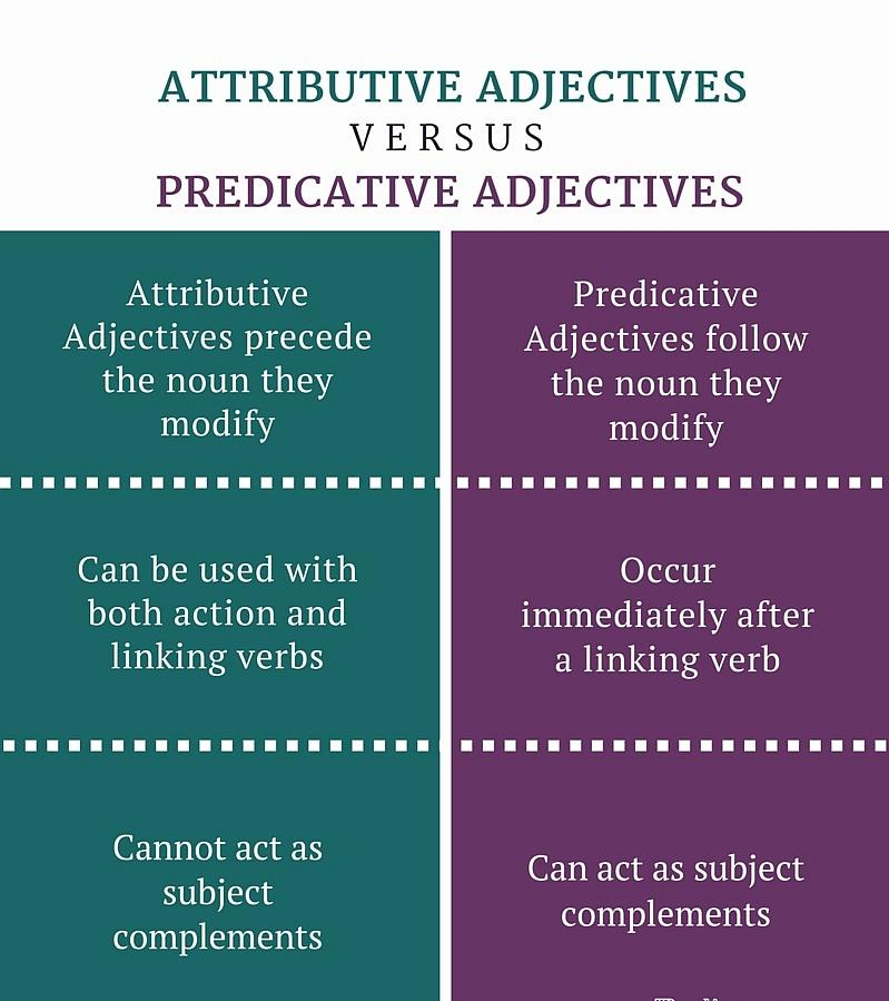 The Adjetives in English | Genially