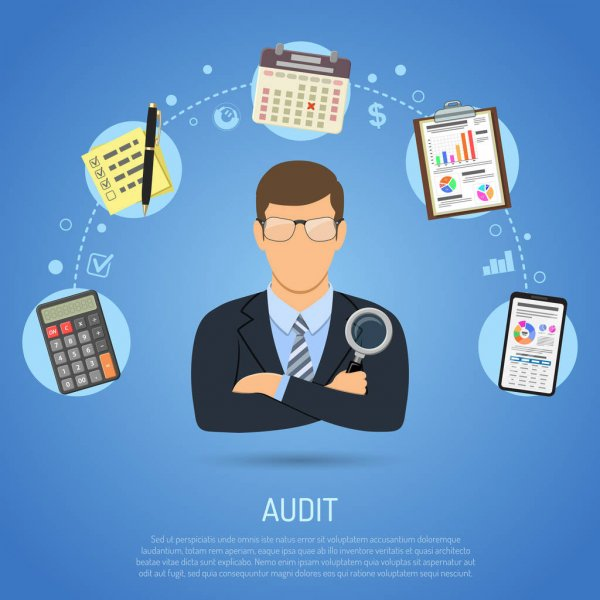 Infografía NIA 330 | Genially