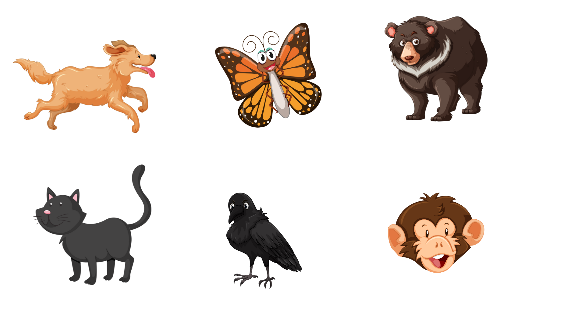 Animals What's this What colour | Genially