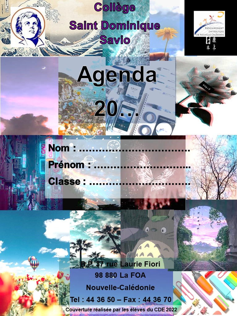 Arts plastiques activités pédagogiques Savio juin 2024 | Genially