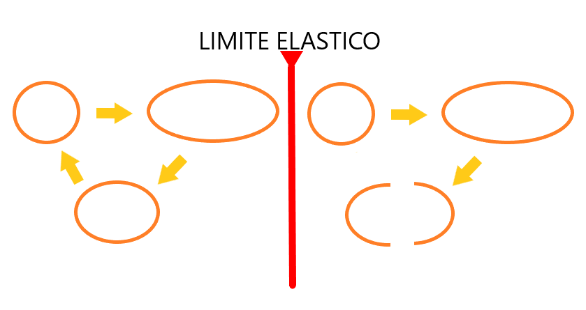 CONCEPTOS BASICOS ELASTICIDAD WAFC