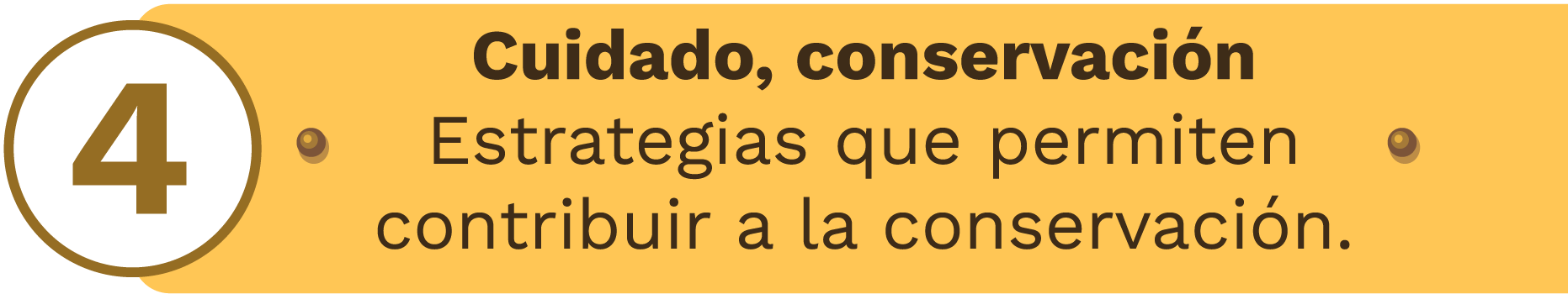 Explorando el manglar | Genially