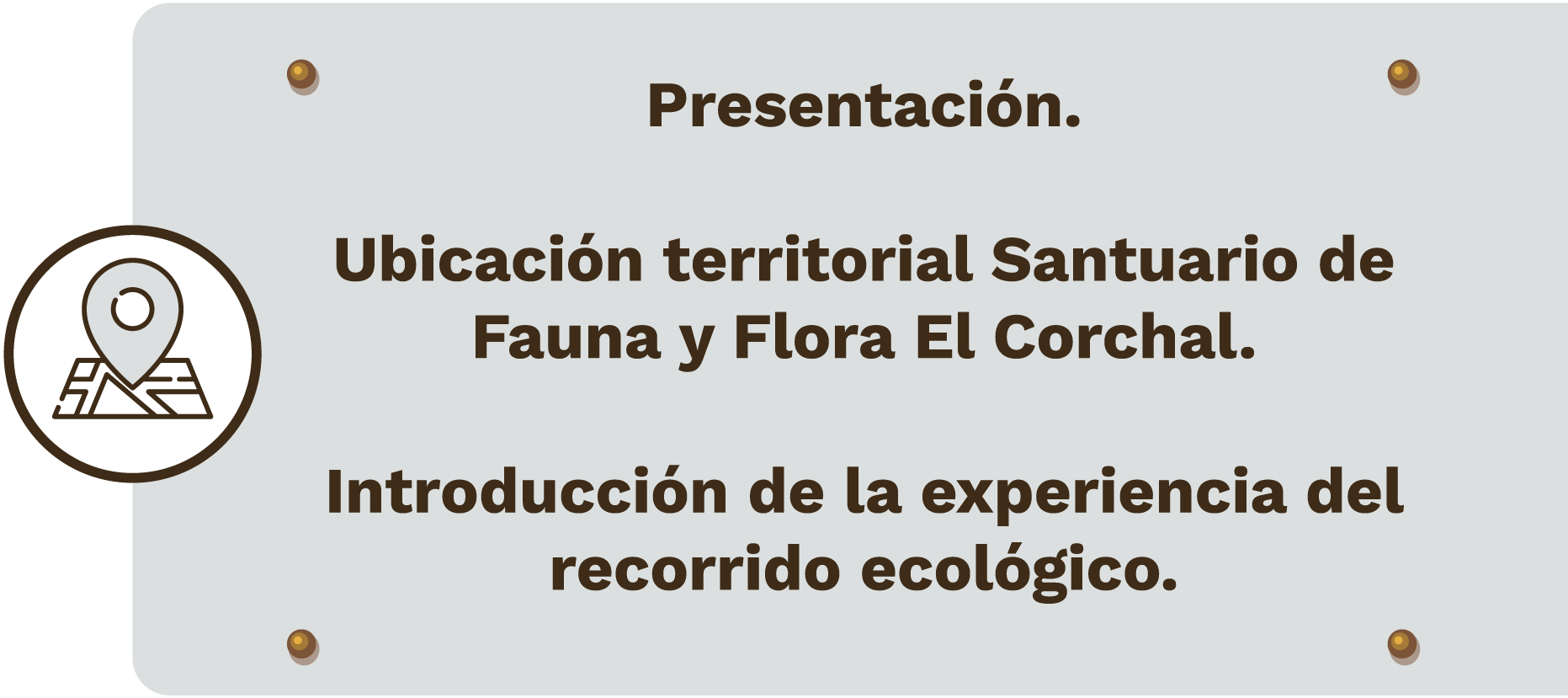 Explorando el manglar | Genially