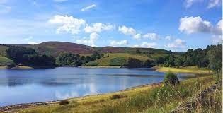 Wildlife writing competition | Genially