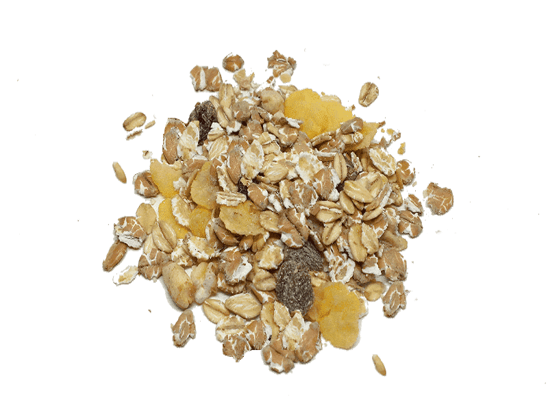 Unit 2. Nutrients (SCI) | Genially