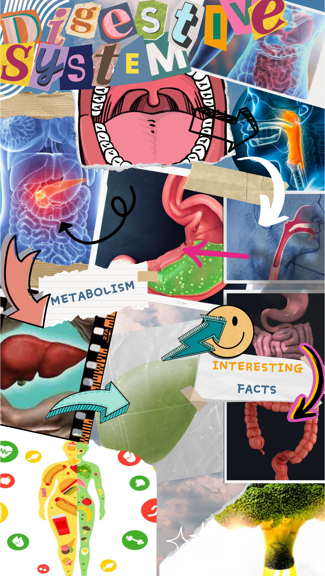 Digestive system collage | Genially