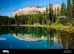 PASTEL COLOR MAP | Genially