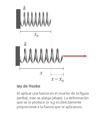 ley de hooke | Genially