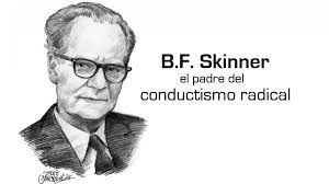 INFOGRAFIA DE SKINNER. | Genially