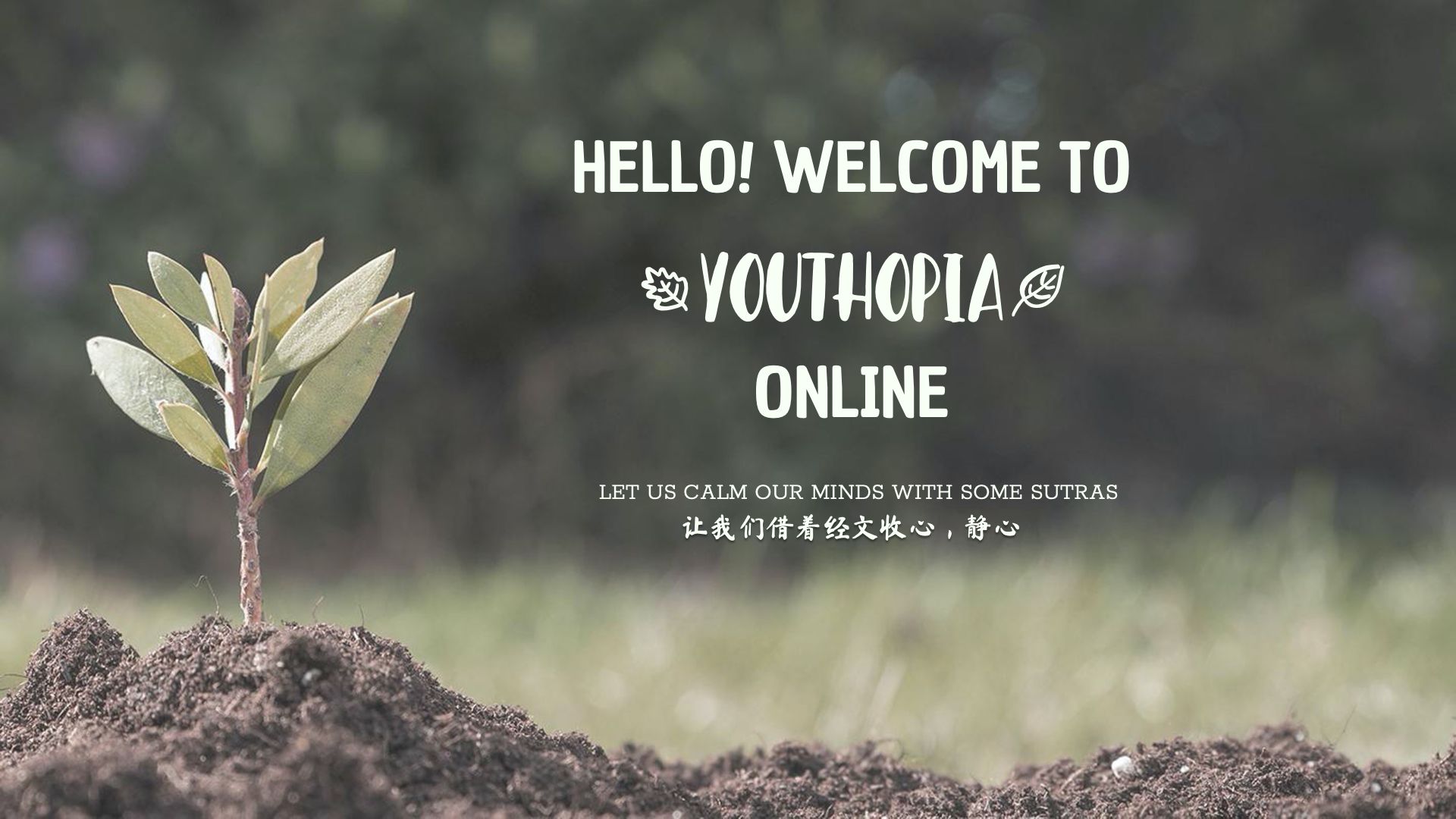 BASIC PRESENTATION | Genially