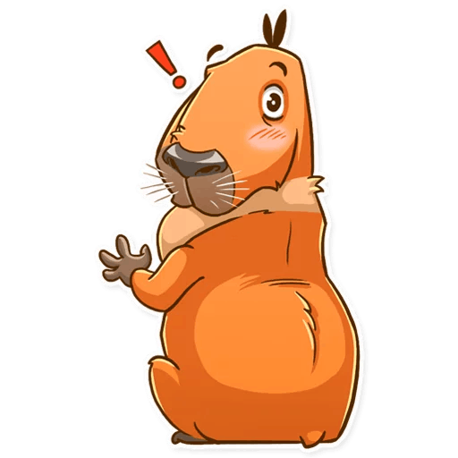 Capybaras' summer questions