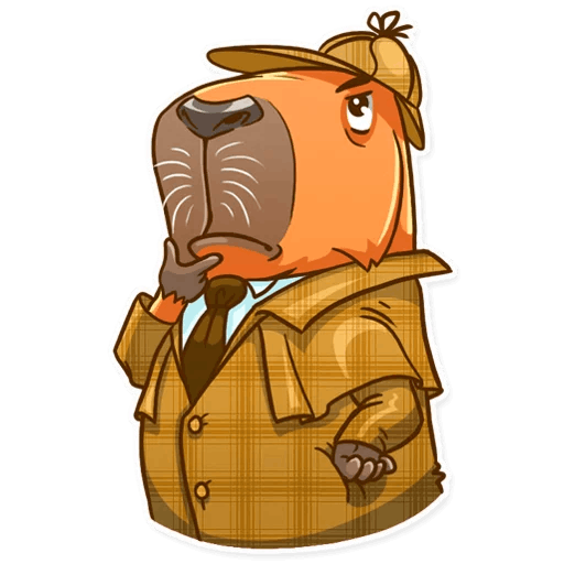 Capybaras' summer questions | Genially