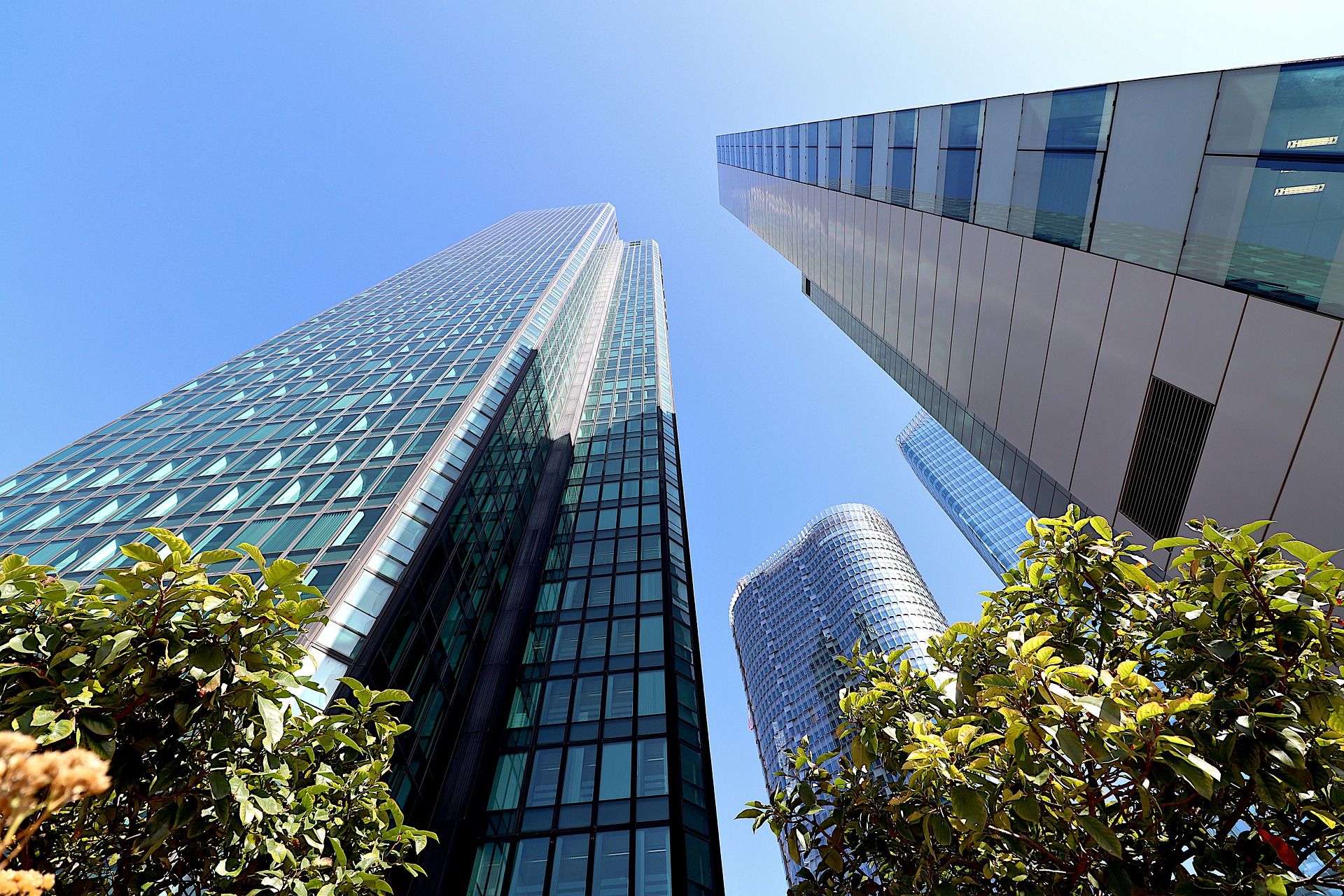 BASIC PRESENTATION | Genially