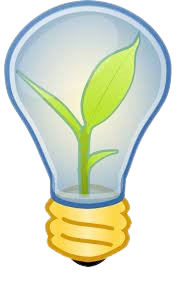 Joint and Collaborative Products | Genially