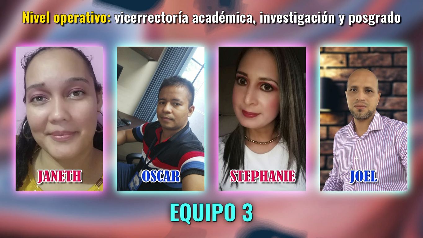Nivel operativo: vicerrectoría académica, investigación y posgrado ...