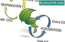 linea del tiempo | Genially