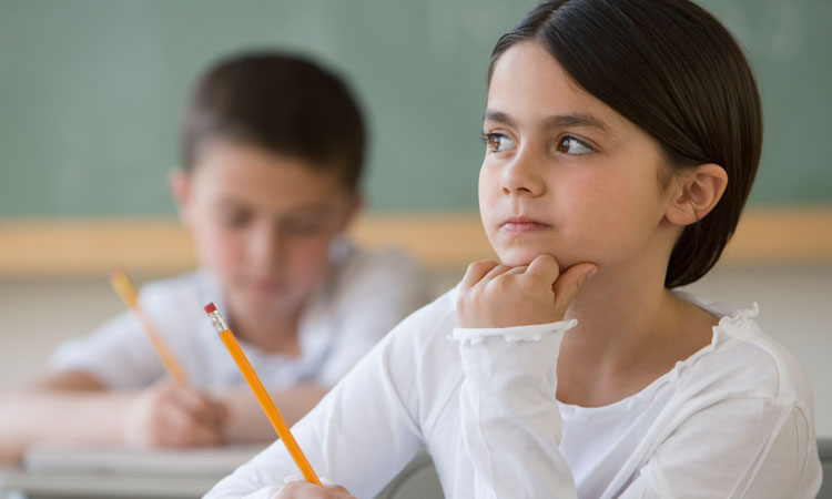 six components interactive of the learning process | Genially