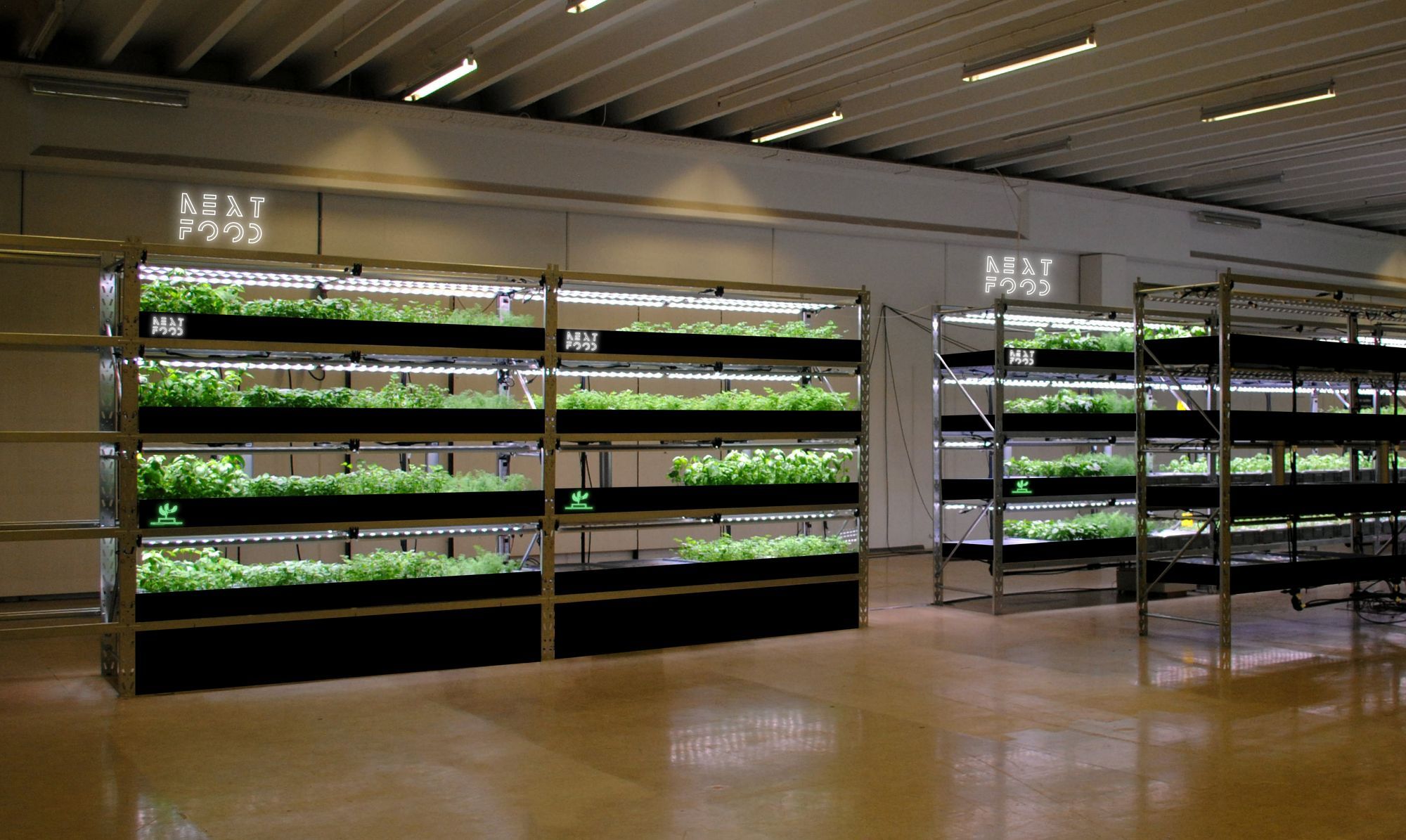 Interactive image | Genially