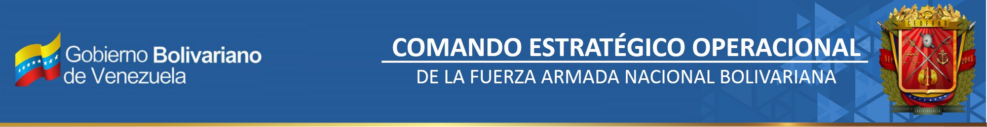 INFOGRAFÍA FANB | Genially