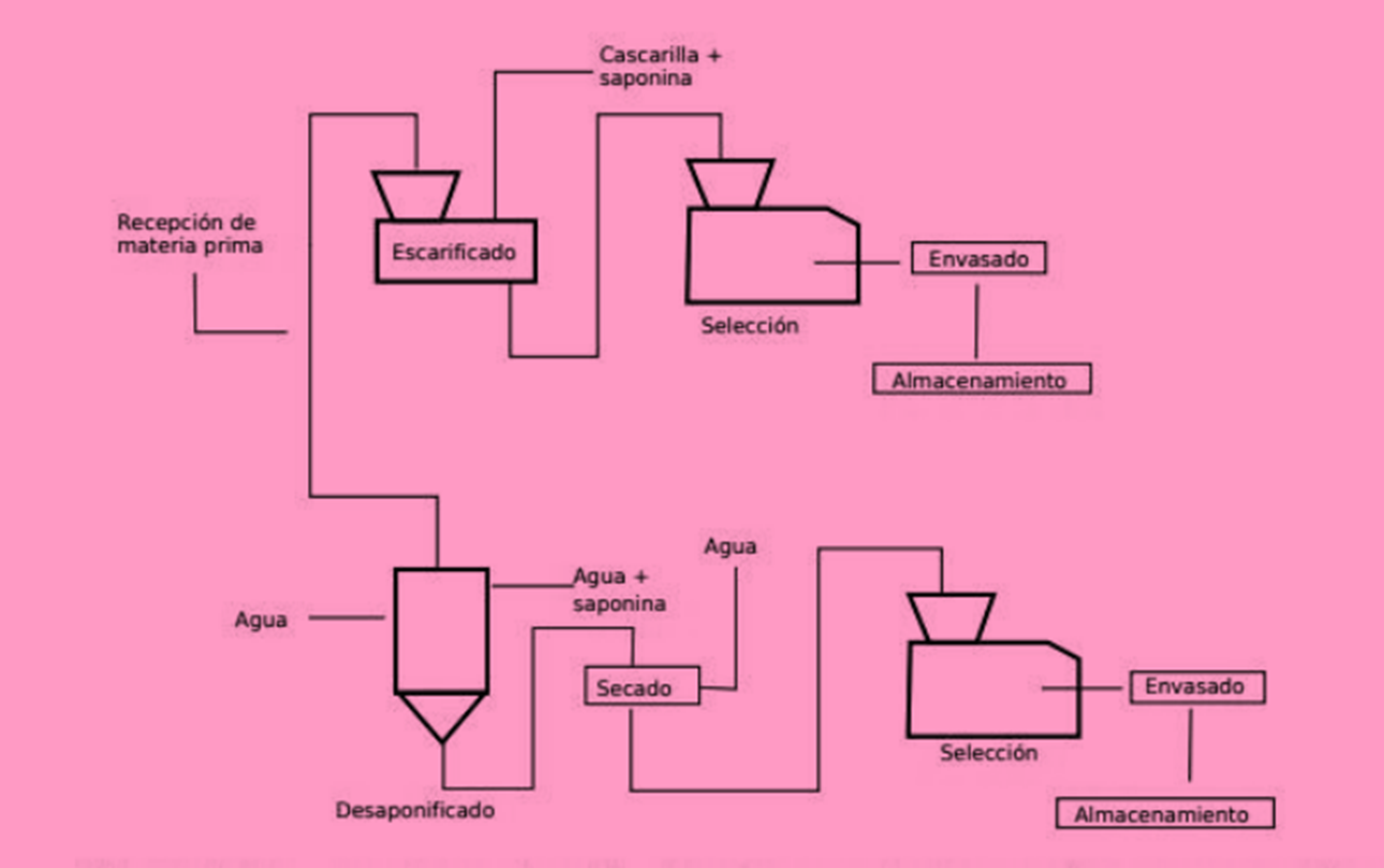 QUINUA: TECNOLOGÍA Y CALIDAD | Genially