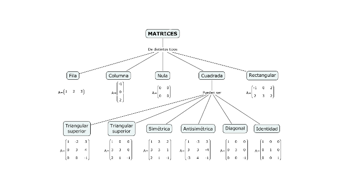 Definición, componentes y clases de Matrices | Genially