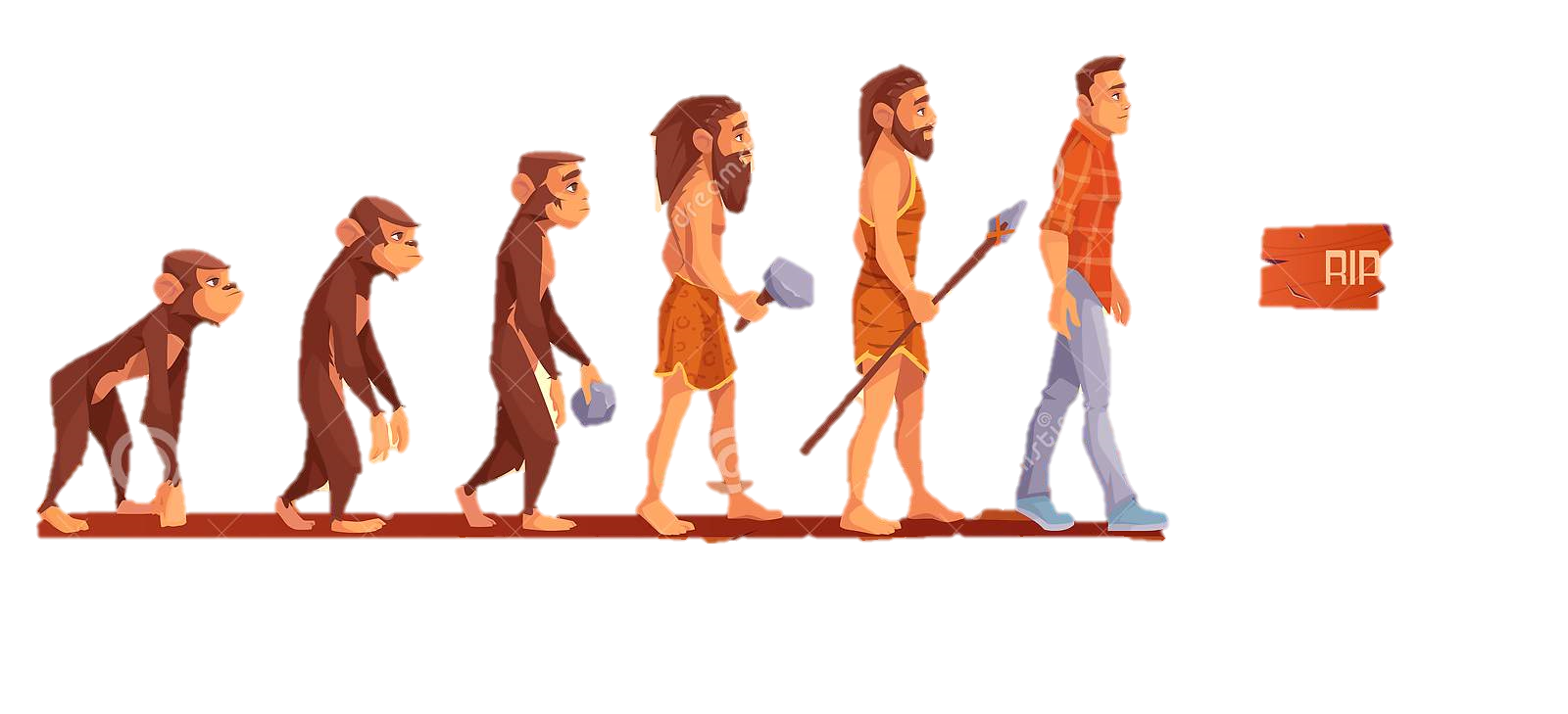Evolution of Human | Genially