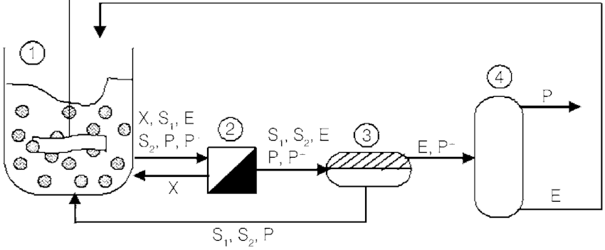 Biotecnología microbiana | Genially