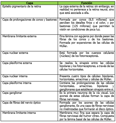 Mapa mental vía visual | Genially